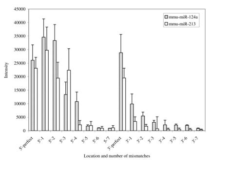 Specificity Of The Complementary Mirna Microarray Probes Synthetic