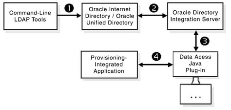 understanding the oracle directory integration platform for provisioning