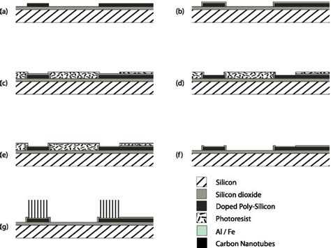 A Three Dimensional Microelectrode Array Composed Of Vertically Aligned Ultra Dense Carbon