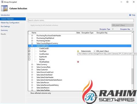 SQL Server Management Studio Rahim Soft