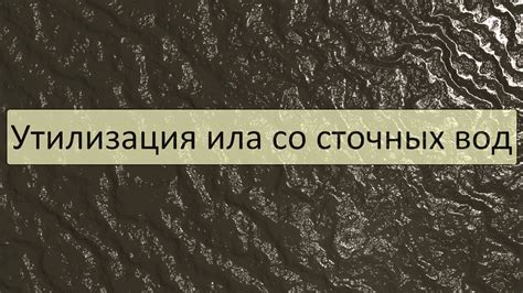 Утилизация ила со сточных вод - Диптера