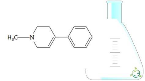 Mptp Chemical Formula Effects On Humans Toxicity Symptoms