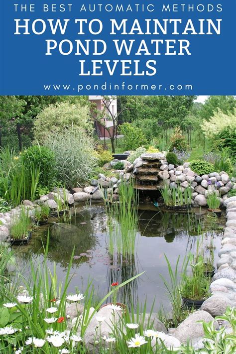 Guide To Pond Water Level Control Best Automatic Methods Artofit