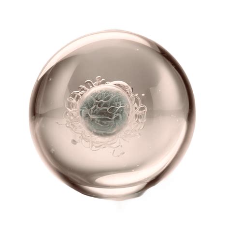 Vad är Ldlhdl Kolesterol Kvoten Testmottagningen