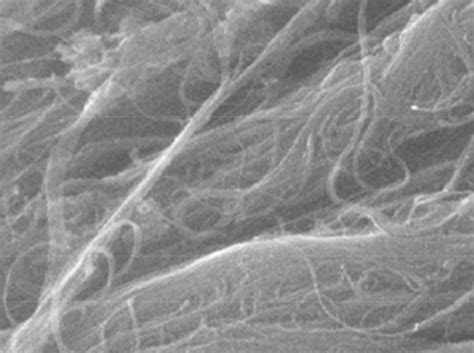 Mse Pro High Purity 95 Wt Hydroxylate Single Walled Carbon Nanotube