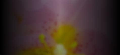 Scratchnsniff Nude Scenes Naked Pics And Videos At Mr Skin