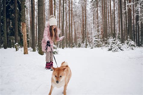 행복한 가족 주말 눈 덮인 흰색 추운 겨울 숲 야외에서 빨간 시바 이누 개와 함께 즐거운 산책을하는 분홍색 따뜻한 아웃웨어의 작은 귀여운 소녀 키즈 스포츠 휴가 활동 개념