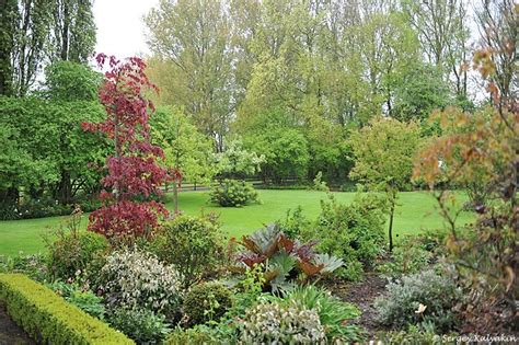 Прекрасный сад и 10 правил работы с тюльпанами Йоке Сайсоув | Сады и ...