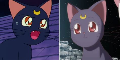 Luna Cat Human