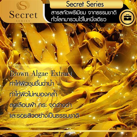 Brown Algae Extract Secret Series Official