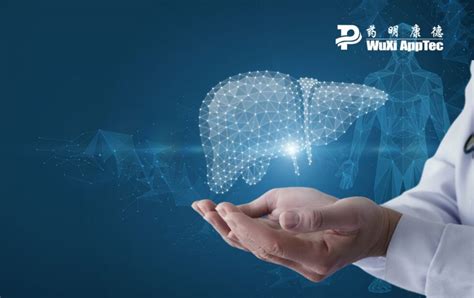Metabolic Stability In Drug Development 5 Assays