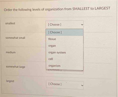 Solved Order The Following Levels Of Organization From Smallest To Largest Smallest Choose