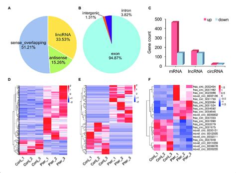 Gene Expression Characterization A The Type And Proportion Of