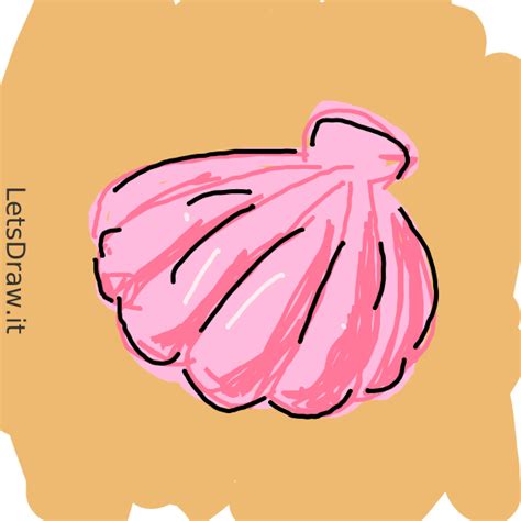 How To Draw Seashell Mo Z Xk Png LetsDrawIt