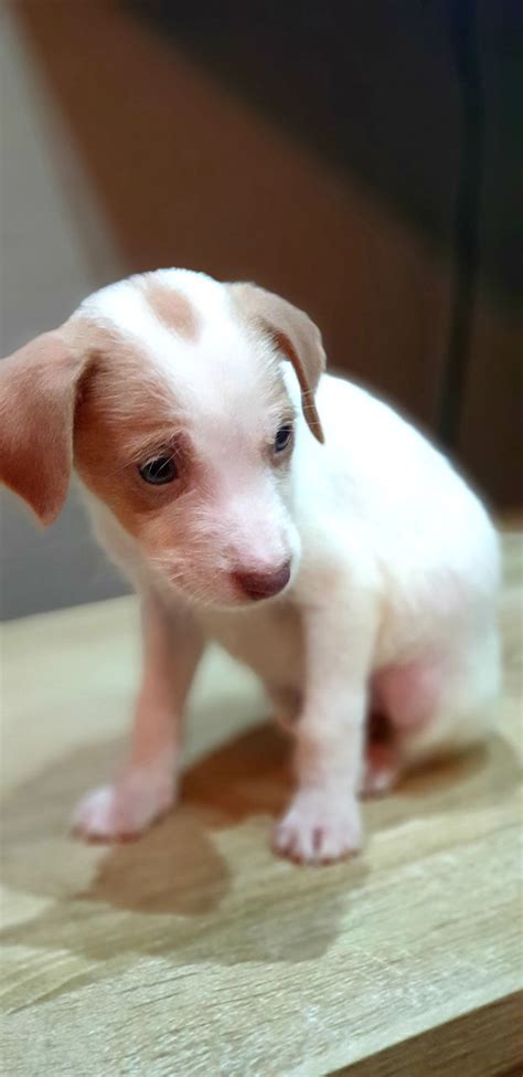 Даю в хорошие руки