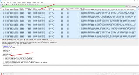 Apple Airplay Wireshark 08 Mdns Query