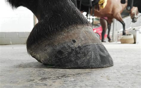 Final Seg Instance Segmentation Dataset And Pre Trained Model By Test