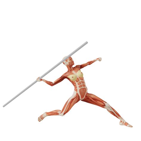 Throwing Unisex Poses Posemaniacs Royalty Free 3d Pose Reference For All Artists