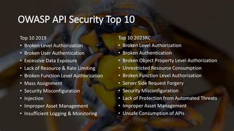 apisecure 2023 understanding and identifying threats against apis