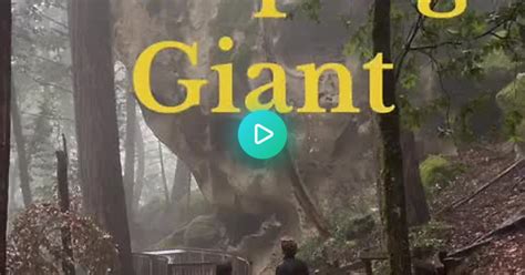 Robert Album On Imgur