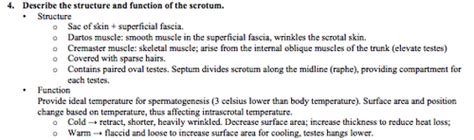 Reproductive System Flashcards Quizlet