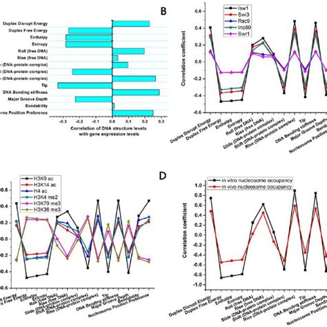 The Correlation Of Dna Structural Levels In Coding Regions With