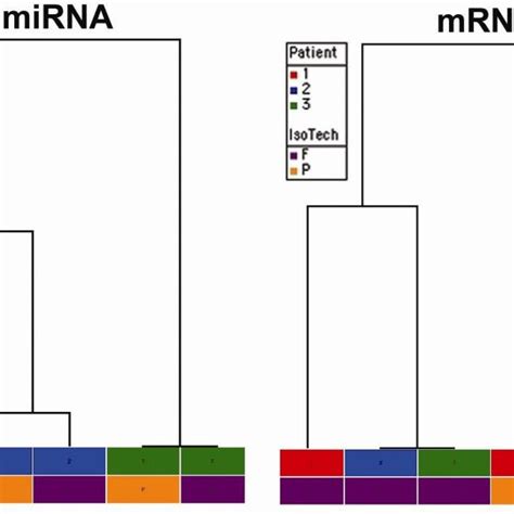 hierarchical clustering analysis of mirna data and mrna data