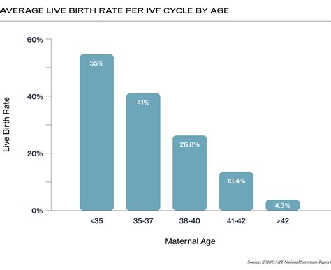 Your Guide To Understanding The Ivf Funnel And Success Rates