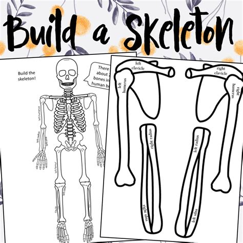 Build A Skeleton Craft Made By Teachers