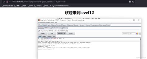 day18：xss 靶场通关手册 欢迎来到level1 csdn博客