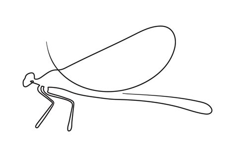 grasshopper continuous line art graphic by subujayd · creative fabrica