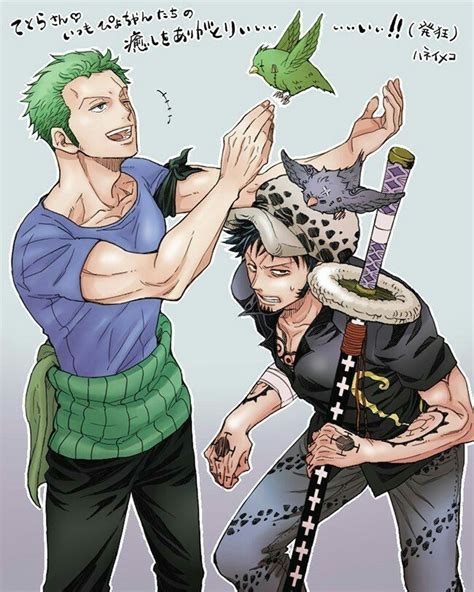 Zoro And Law Rufy Bastardi
