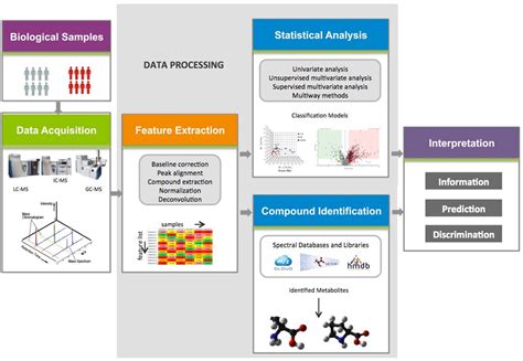 Metabolomics Data Analysis Thermo Fisher Scientific HK