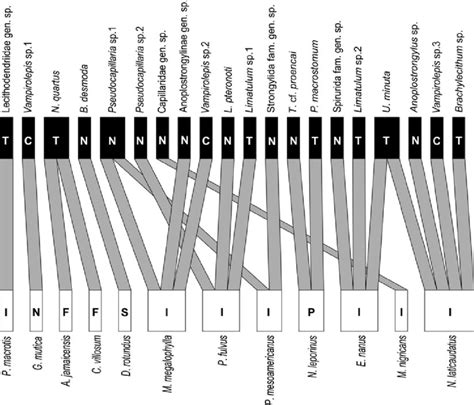 Bipartite Network Graph Illustrating The Interactions Of Helminths Of Download Scientific