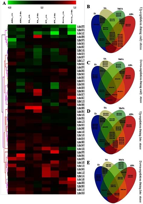 A Hierarchical Clustering Of Differential Gene Expression In Response Download Scientific