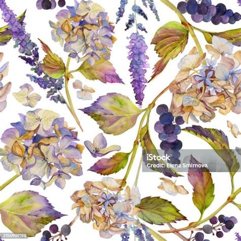손으로 그린 수채화 그림 초라한 Boho 식물 꽃 잎 Hortensia 수국 베로니카 갈매 나무속 엘더베리 열매 흰색에 고립 된