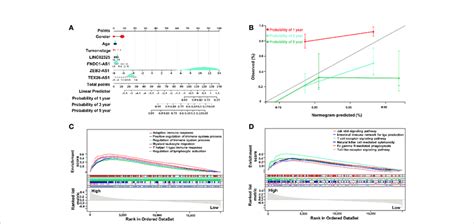 Nomogram Analysis Of Four Irlncrnas And Gsea Between The Two Subgroups