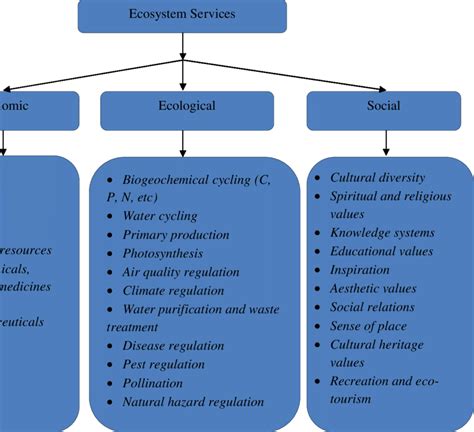 Classification Of Ecosystem Services Adapted From The Millennium Download Scientific Diagram