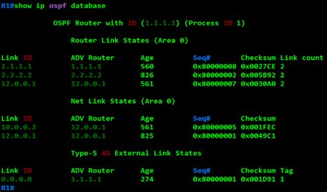 configuring ospf default route propagation geeksforgeeks