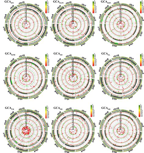 Pbj 扬州大学徐辰武and徐扬开发玉米基因组杂交育种加速器spdc Hg 知乎
