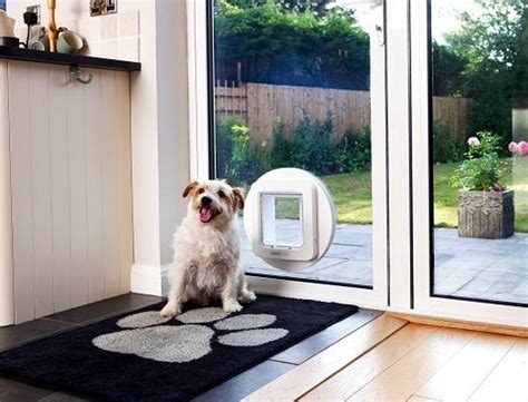 SureFlap® | MSD Animal Health HUB