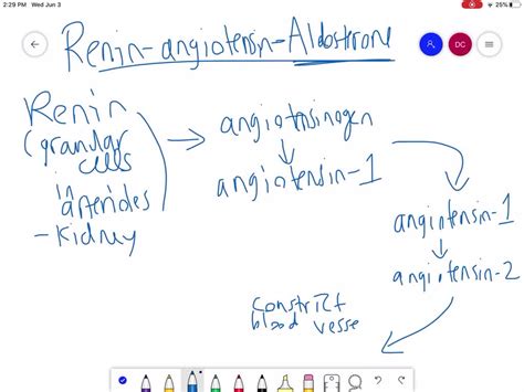 Solved Explain Why Aldosterone Hyposecretion Could Cause Hypochloremia