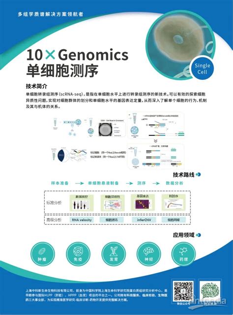 单细胞测序专题 Monocle2拟时序分析前后结果不一致？带您认识一款新的分析软件paga