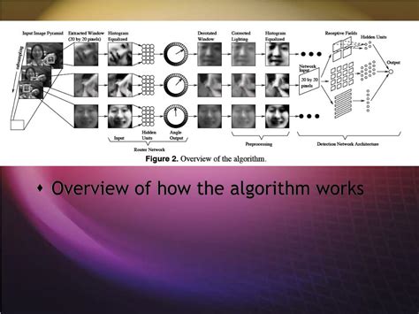 Ppt Rotation Invariant Neural Network Based Face Detection Powerpoint Presentation Id7059981