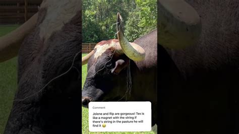 Tex Is Like A String 🧲 Youtube