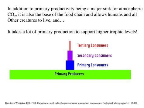 Ppt Ecosystem Type Net Primary Productivity Powerpoint Presentation