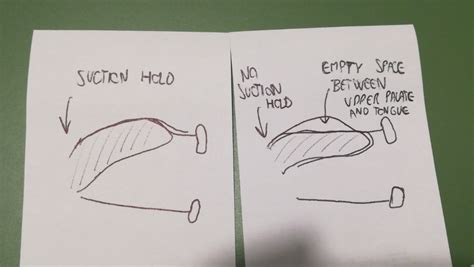 Which Is The Correct Way To Mew R Mewing