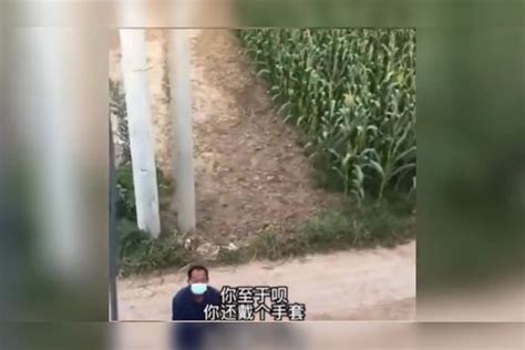 居家隔离中父亲带食材精准投喂 隔离 父亲 食材