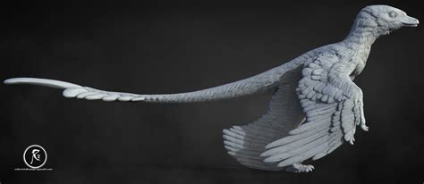 Robert Fabiani888 Microraptor