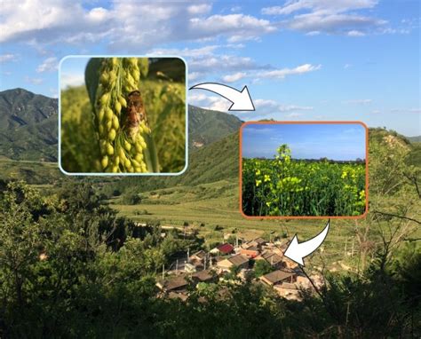 Plain Language Summary Where Do People Benefit From Nature Examples From Canadas Agricultural